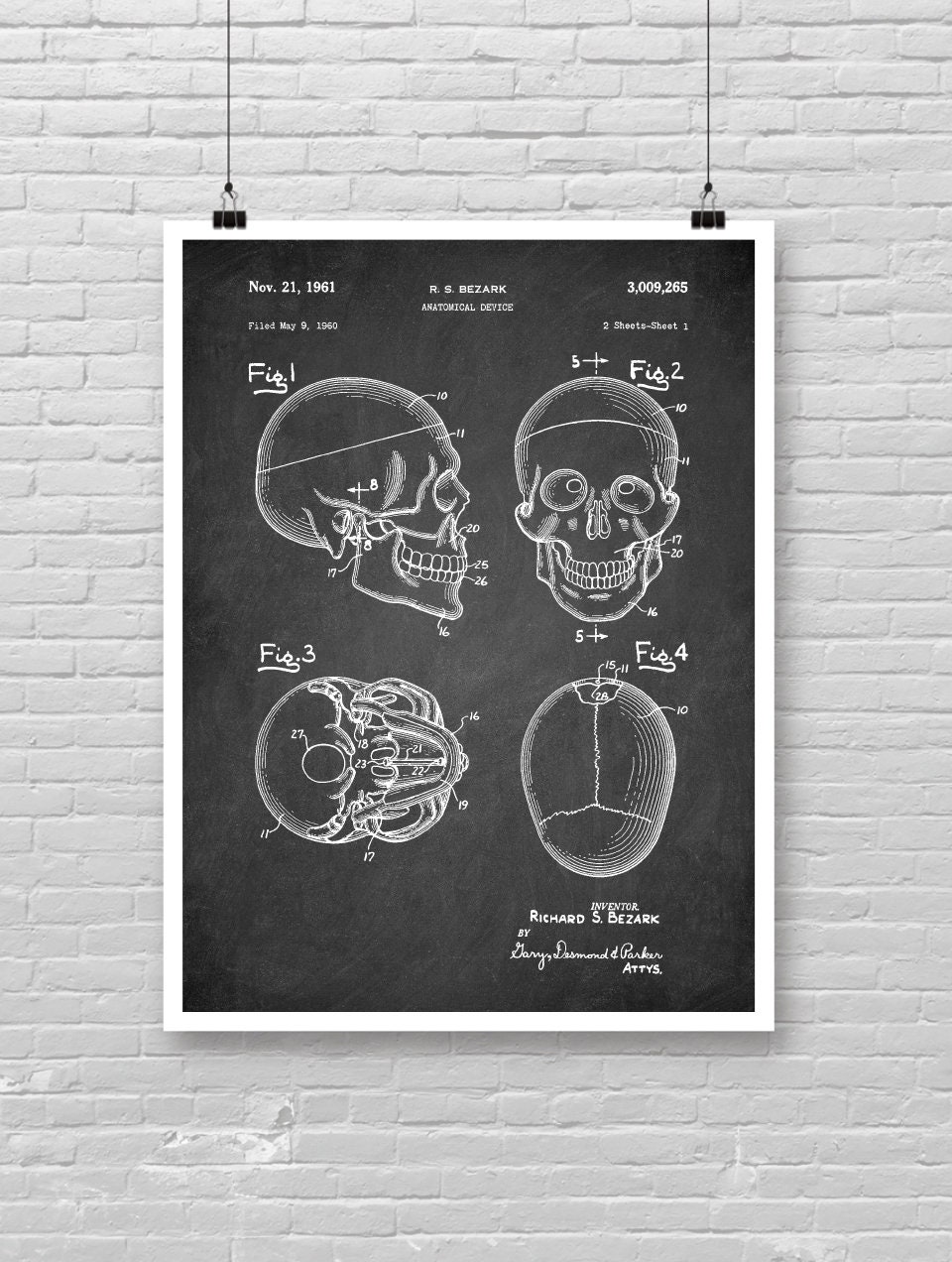 SKULL Detail Chart Poster, Skull Skeleton System Poster, ANATOMY Patent ...