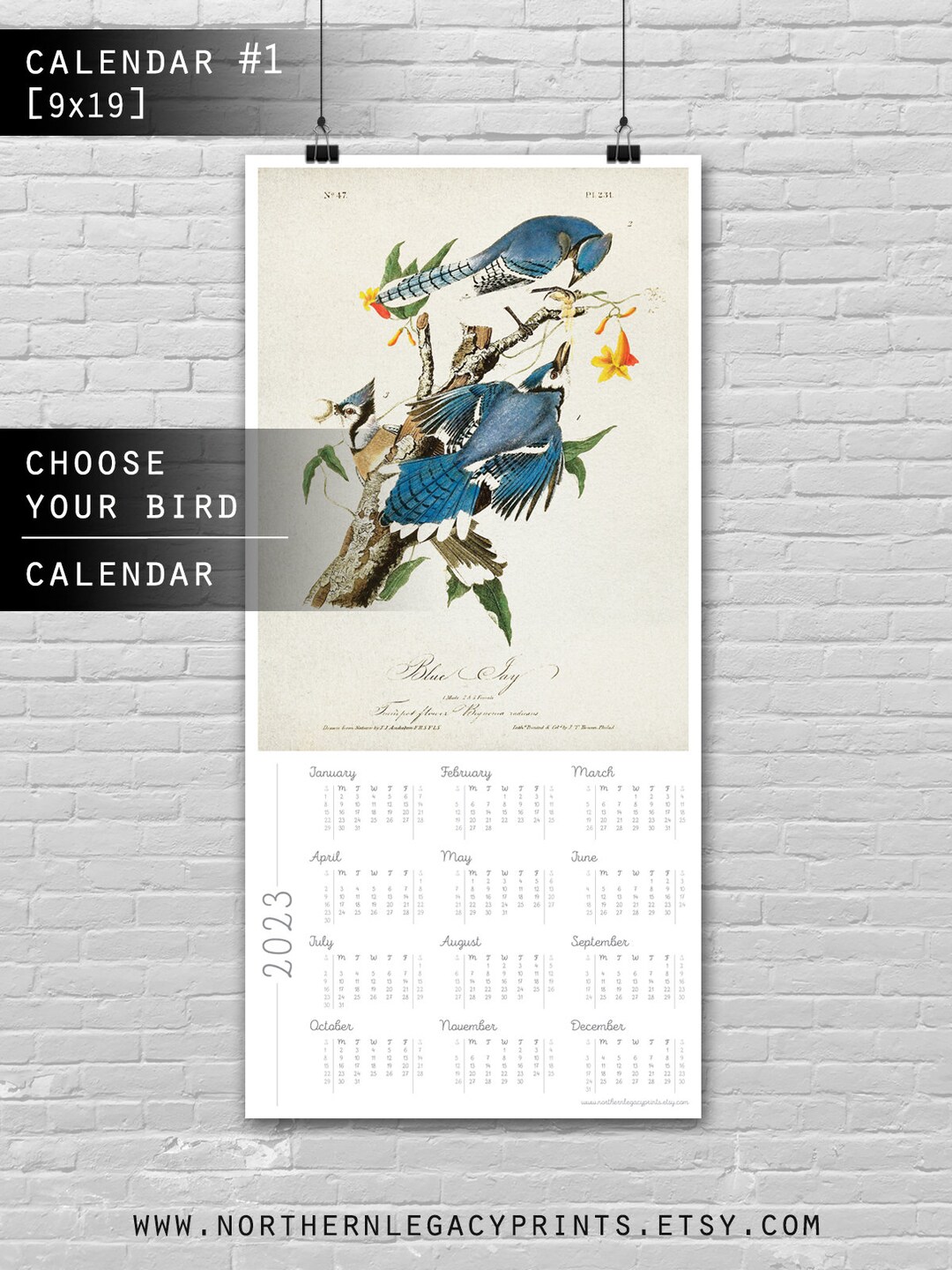 2024 One Page CALENDAR Bird Vintage Illustration Print Bird - Etsy