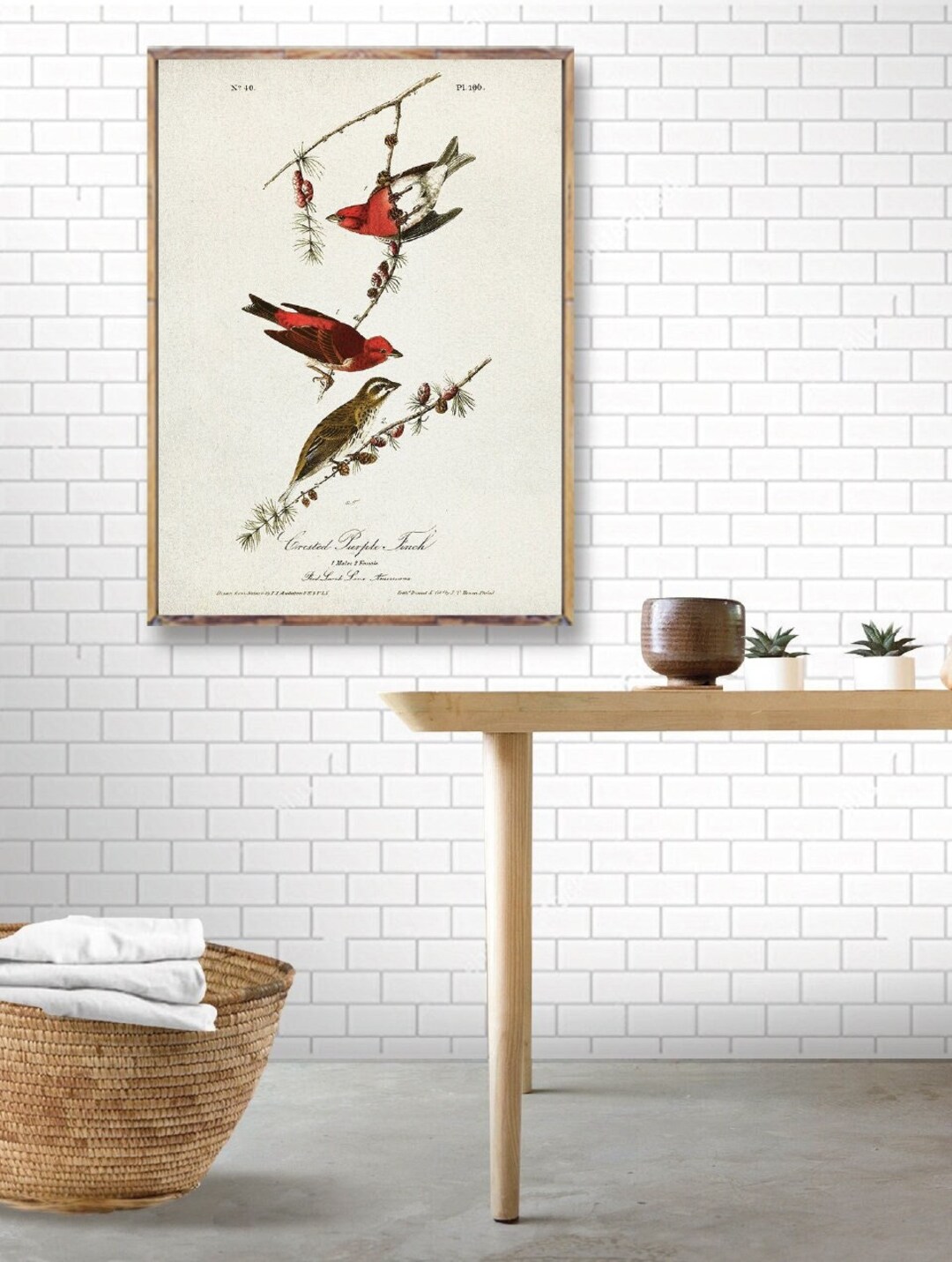 Crested Purple Finch Bird Print, Vintage Birds of America Illustration ...