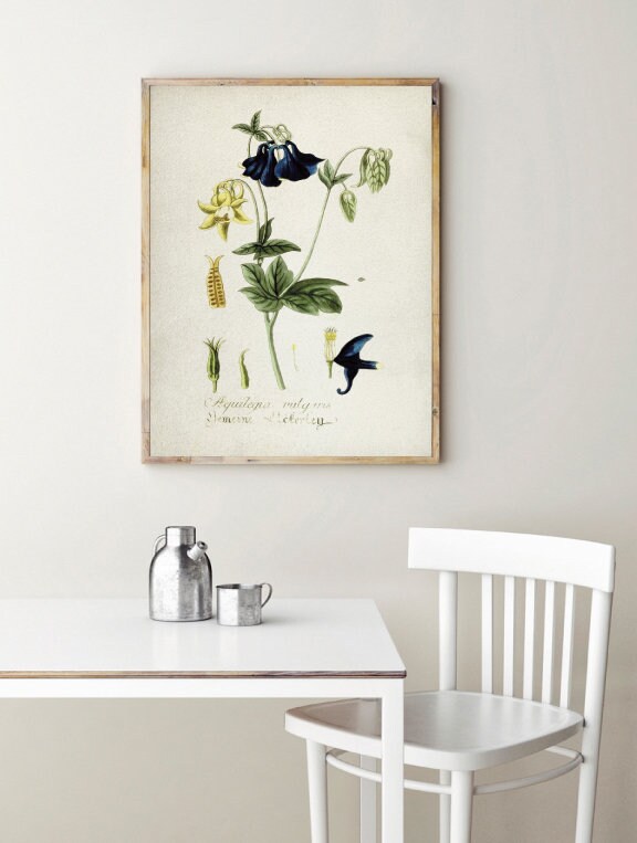 BOTANICAL Vintage 2 Poster Set Blue Vintage Botanical Prints | Etsy
