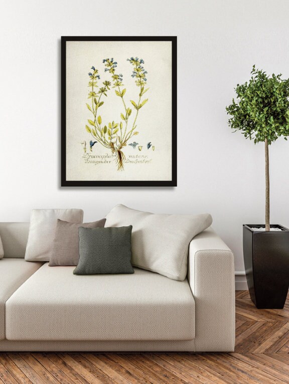 Vintage BOTANICAL 4 Print Set, Minimalist Botanical Posters, Blue ...