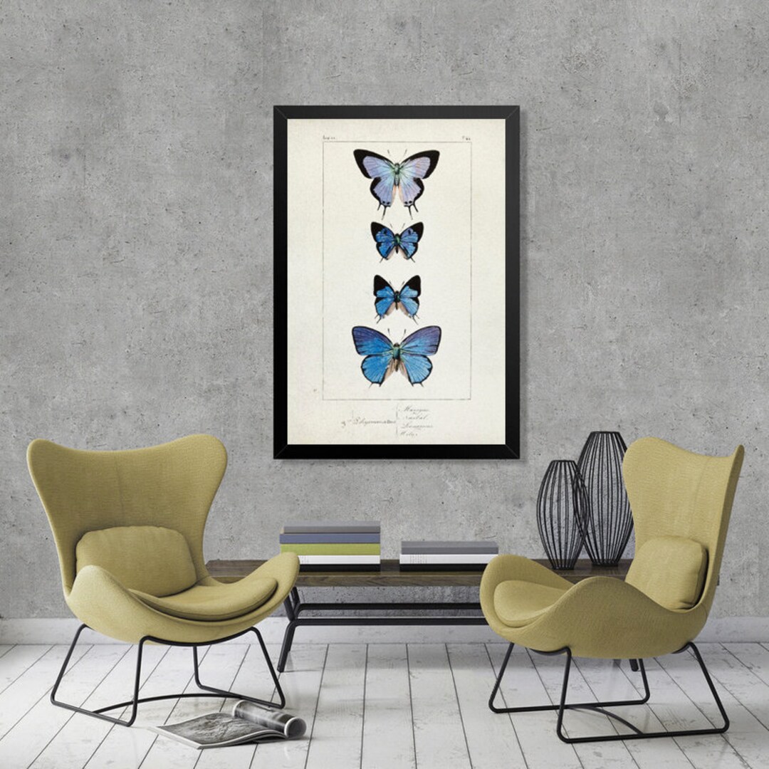 Vintage BLUE Butterfly Illustration Print, Vintage Blue Butterfly ...