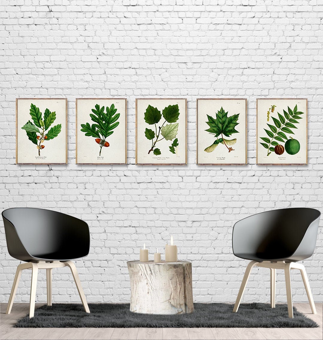 TREES 5 Poster Set, Vintage Tree Art Prints, Hardwood Trees Posters ...