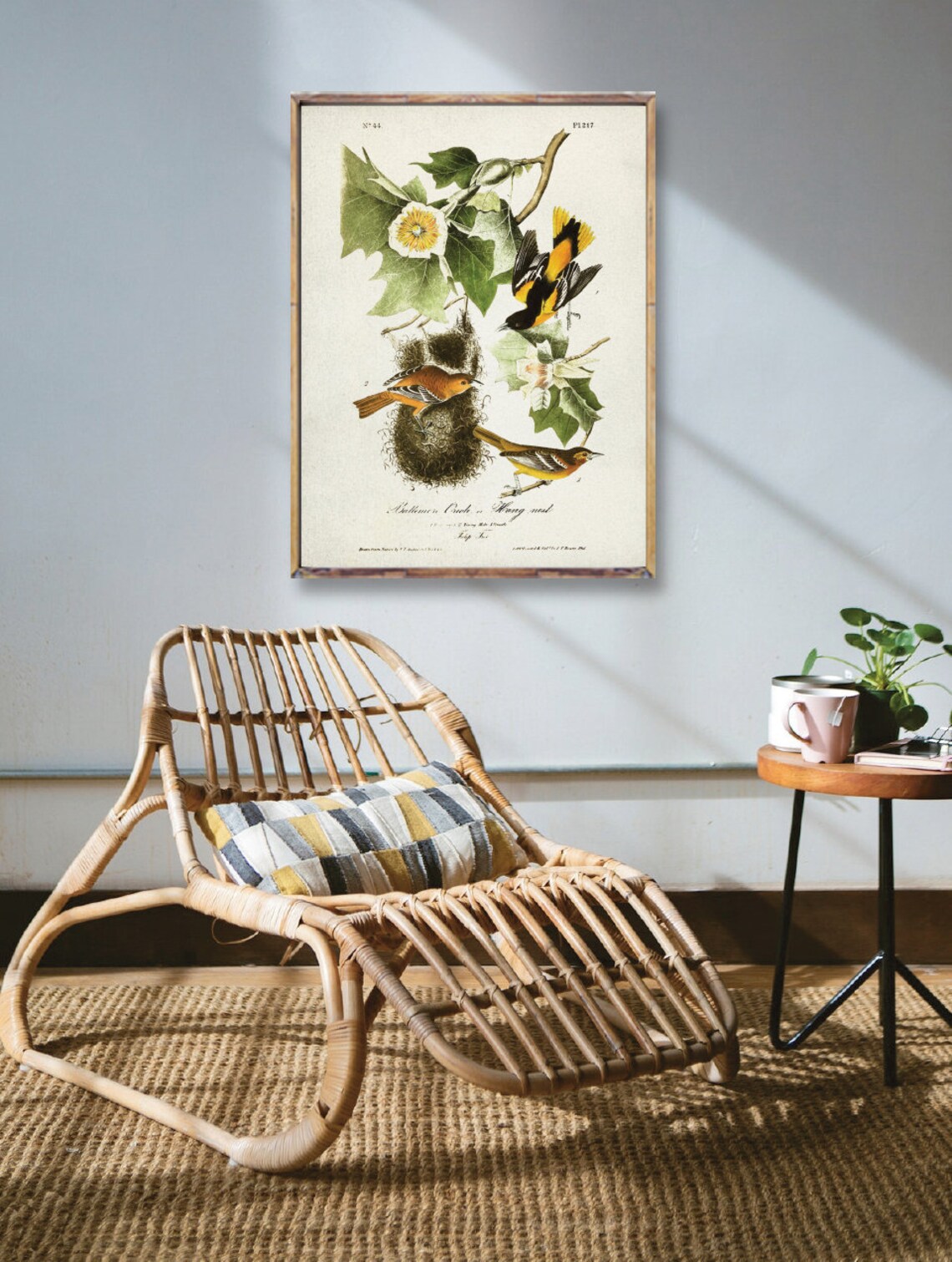 Vintage BIRDS 5 Poster Set Bird Illustration Prints Vintage - Etsy Canada