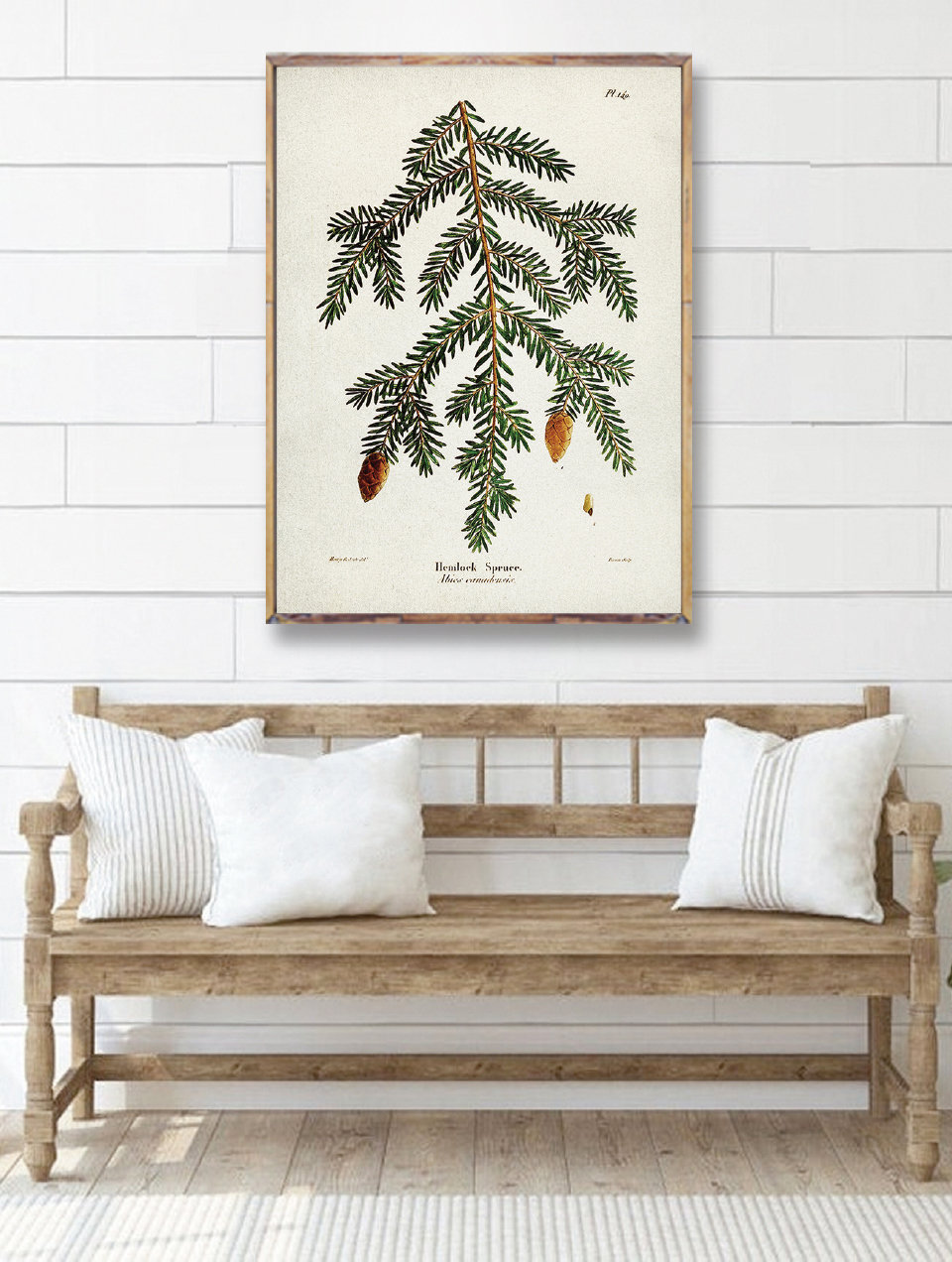 TREES 4 Poster Set Vintage Tree Art Prints Vintage - Etsy