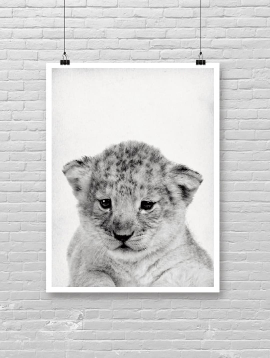 Baby LION Print, Baby Lion Photo Poster, Jungle Theme Print, Cute Baby ...