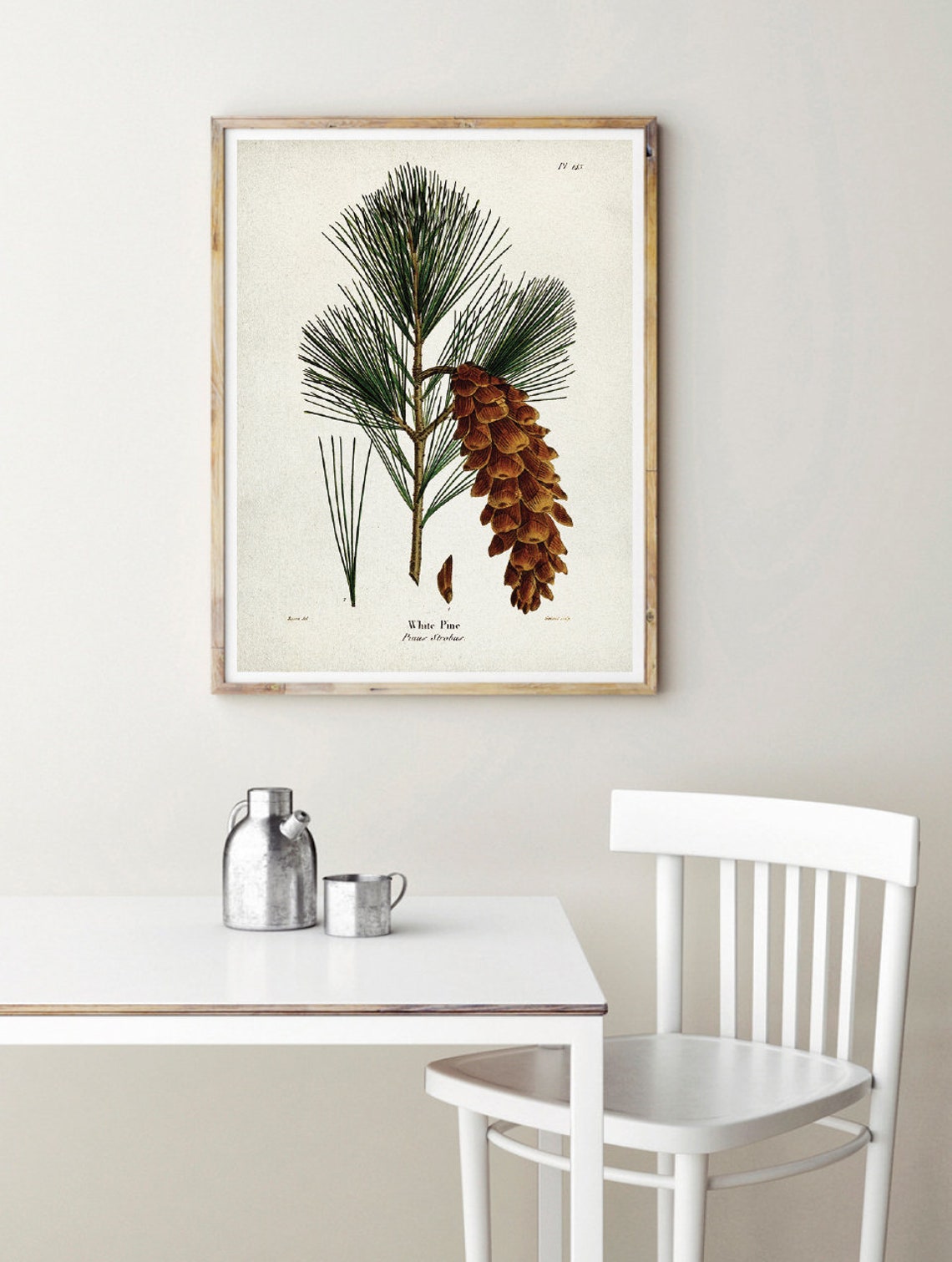 TREES 6 Poster Set Vintage Tree Art Posters Vintage | Etsy