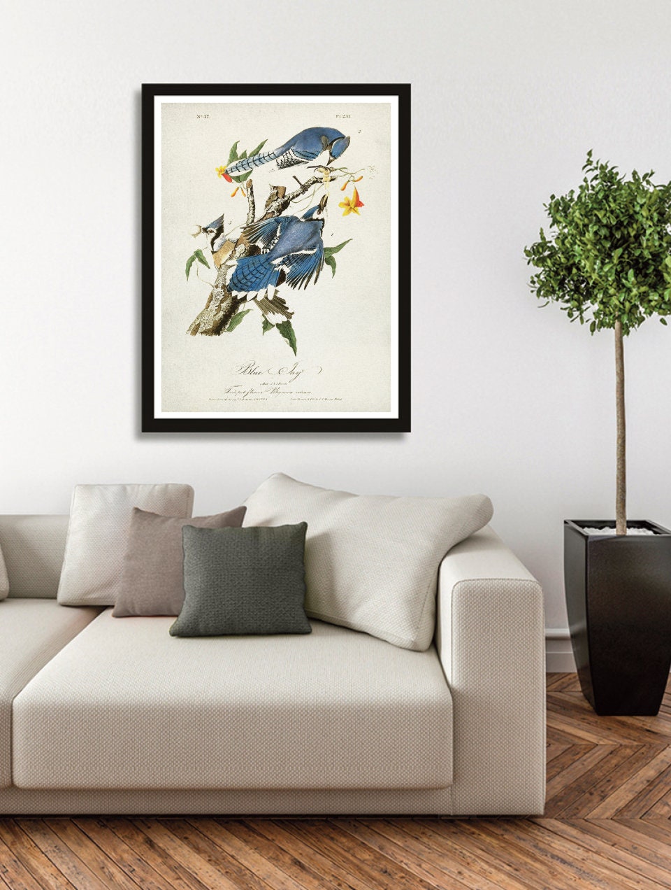 Vintage BIRDS 5 Poster Set, Bird Illustration Prints, Vintage Painting ...