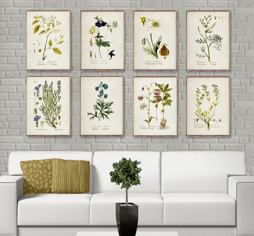 8 poster set Vintage BOTANICAL prints Botanical 8 print set | Etsy