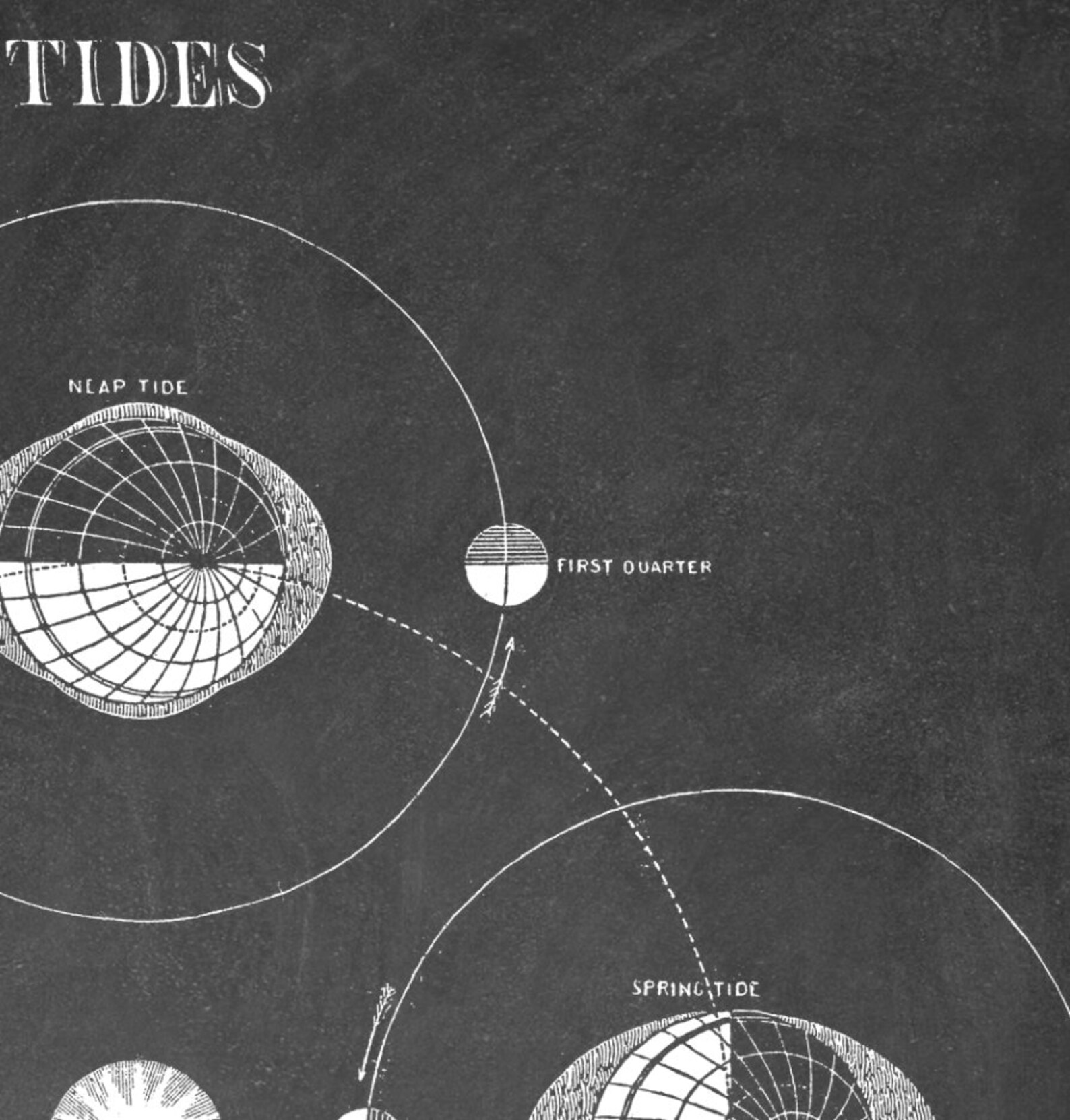 ASTRONOMY Tides Poster Vintage Moon and Seasonal Tides Art - Etsy