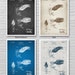 FISHING Patent 8 Print Set, Fish Poster, Fishing Rod Patent, Fishing ...