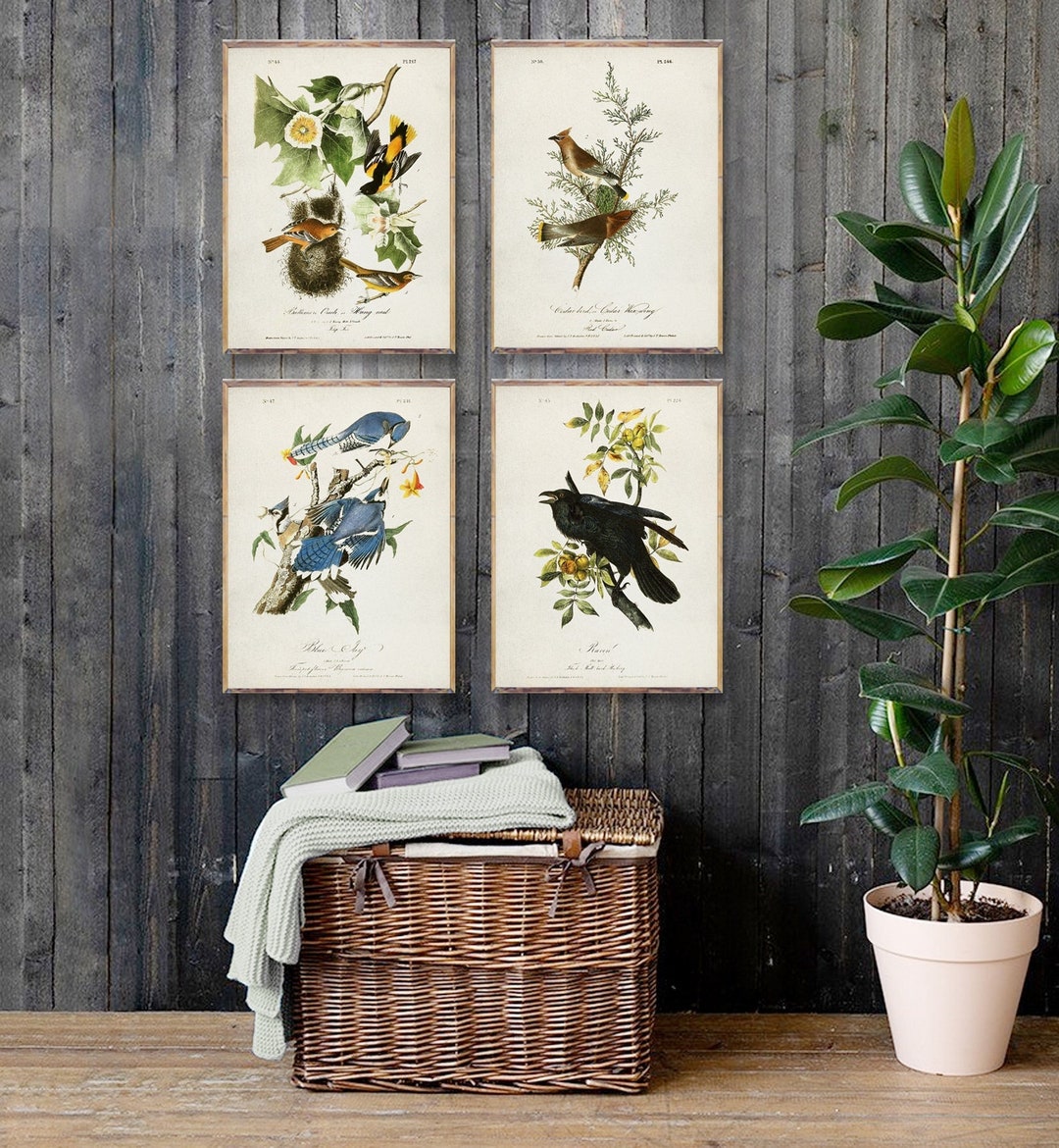 BIRDS 4 Poster Set, Vintage Bird Art Prints, Audubon Birds Painting ...