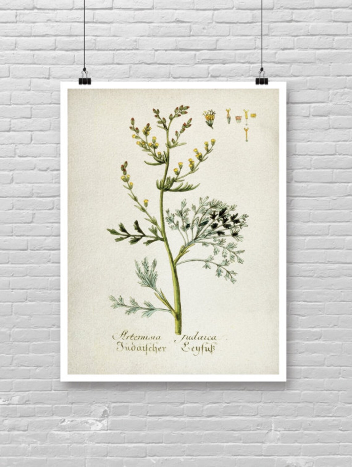 Vintage BOTANICAL 4 Print Set, Minimalist Botanical 4 Poster Set, Blue ...
