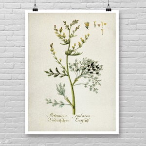 Vintage BOTANICAL 4 Print Set, Minimalist Botanical 4 Poster Set, Blue ...