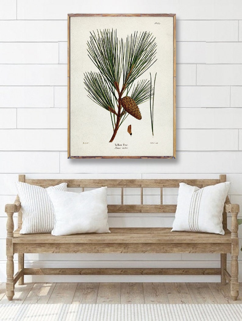 TREES 6 Poster Set Vintage Tree Art Posters Vintage | Etsy