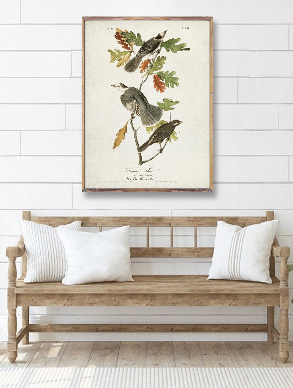 Vintage BIRDS 5 Poster Set, Bird Illustration Prints, Vintage Painting ...