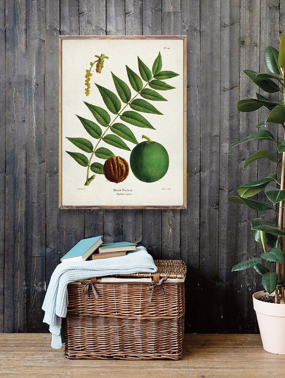 TREES 4 Poster Set, Vintage Tree Art Prints, Hardwood Trees Posters ...