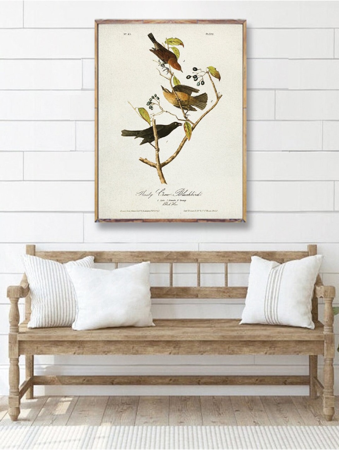 Rusty Crow Blackbird Print, Vintage Birds of America Illustration ...