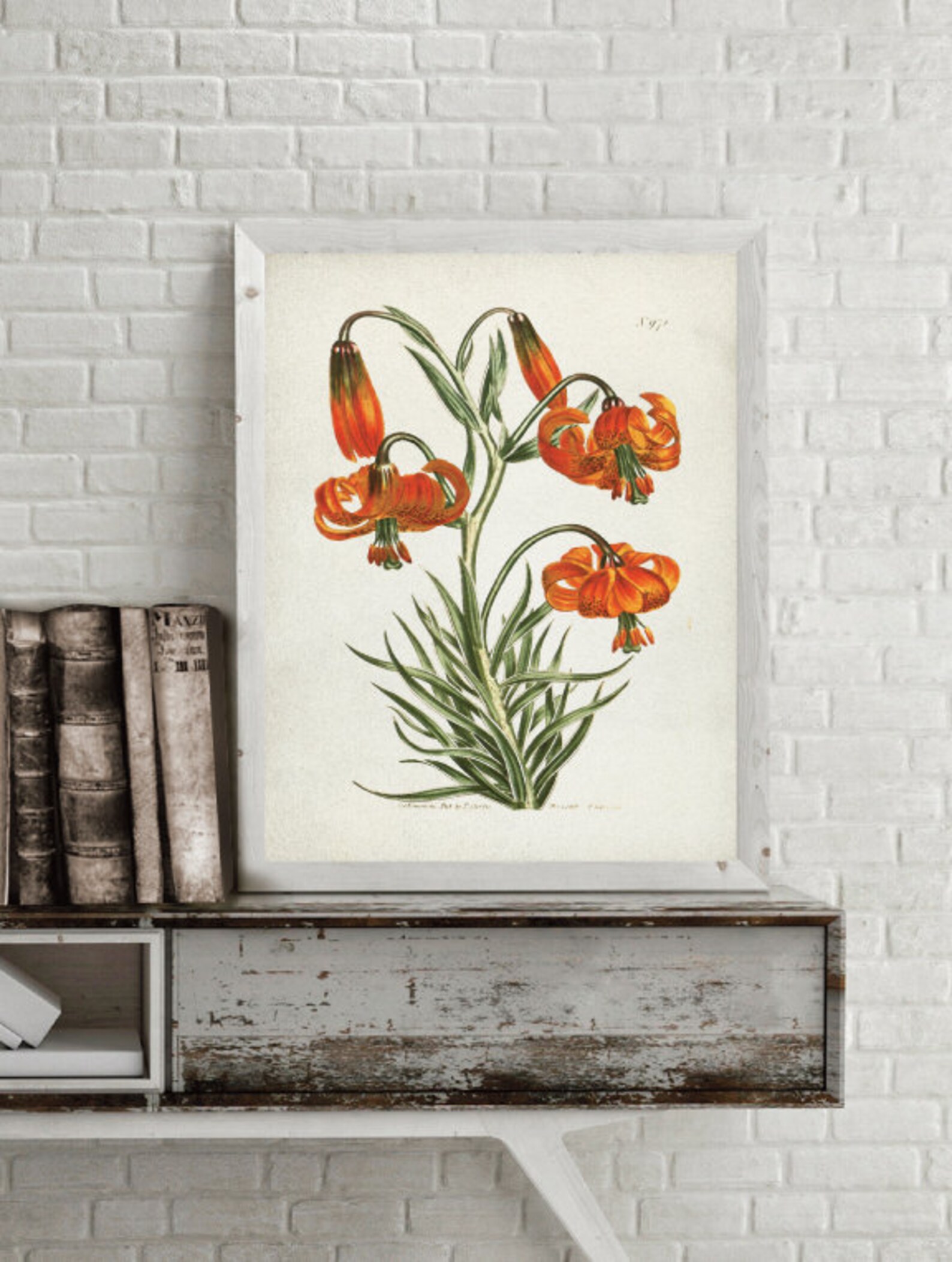Vintage BOTANICAL 2 Poster Set Vintage Botanical Prints - Etsy