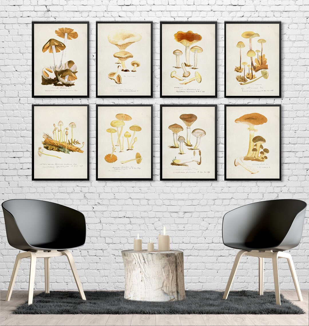 Botanical Antique Fungi 8 Poster Set, Vintage Mushroom 8 Print Set ...