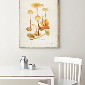 Fungi Illustration Poster, Vintage Mushroom Print, Antique Fungi Poster ...