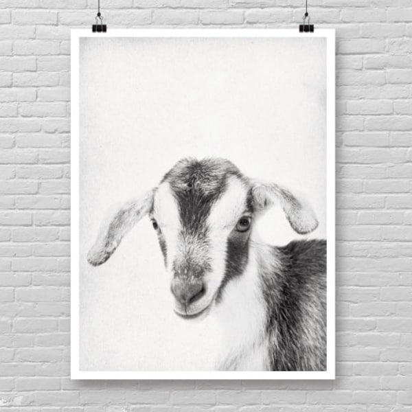 Goat Poster - Etsy