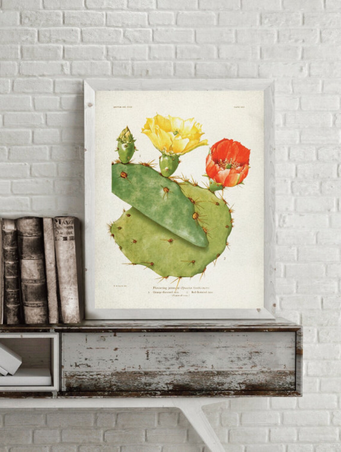 Vintage CACTUS Art Poster, Cactus Poster, Vintage Cactus Art, Tropical ...