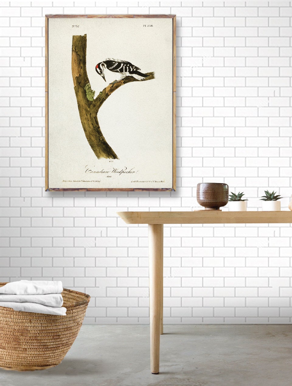Vintage BIRDS 5 Poster Set, Bird Illustration Prints, Vintage Painting ...