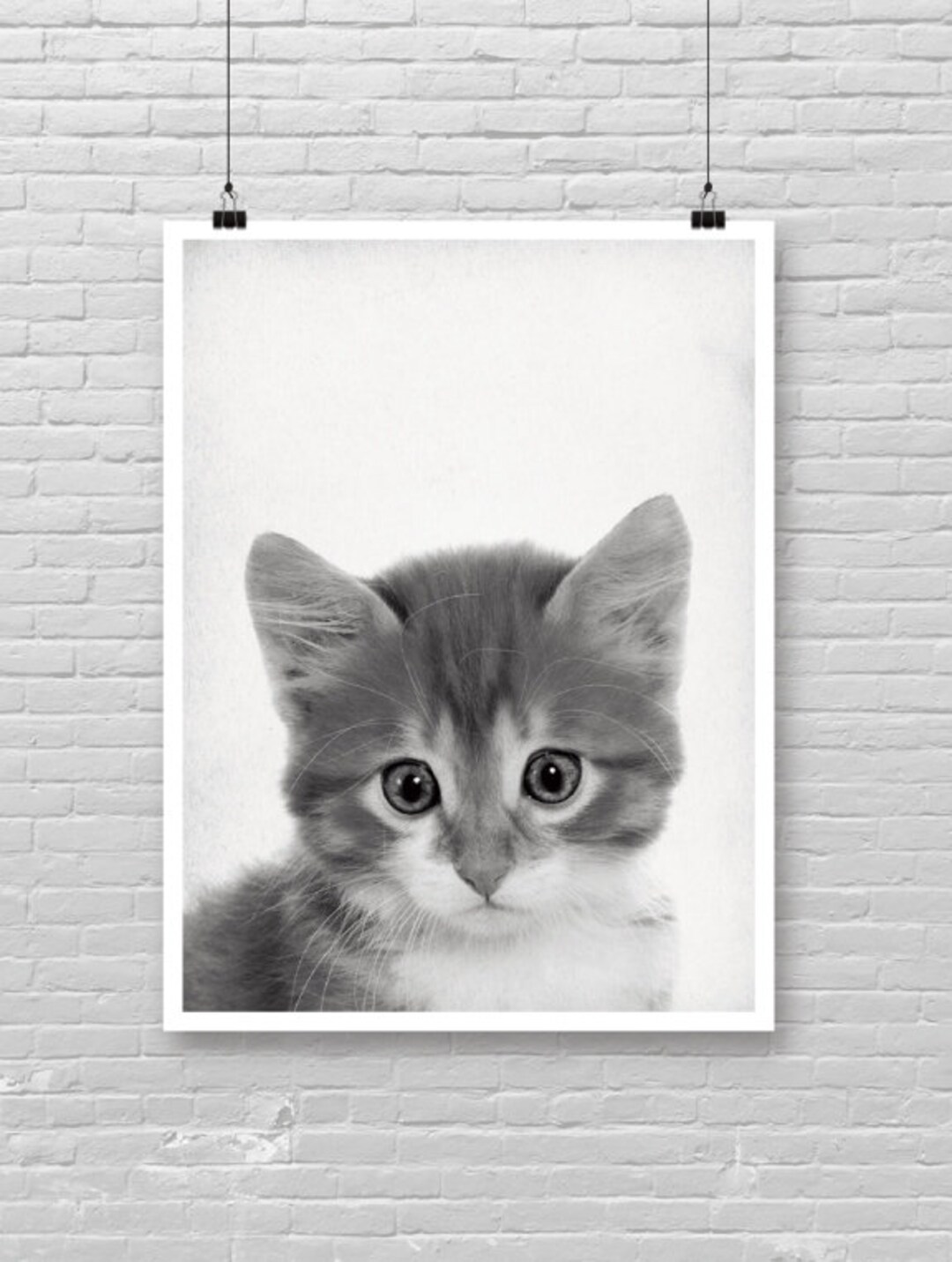 Baby CAT Poster, Baby Cat Photo Print, Domestic Animal Theme Print ...