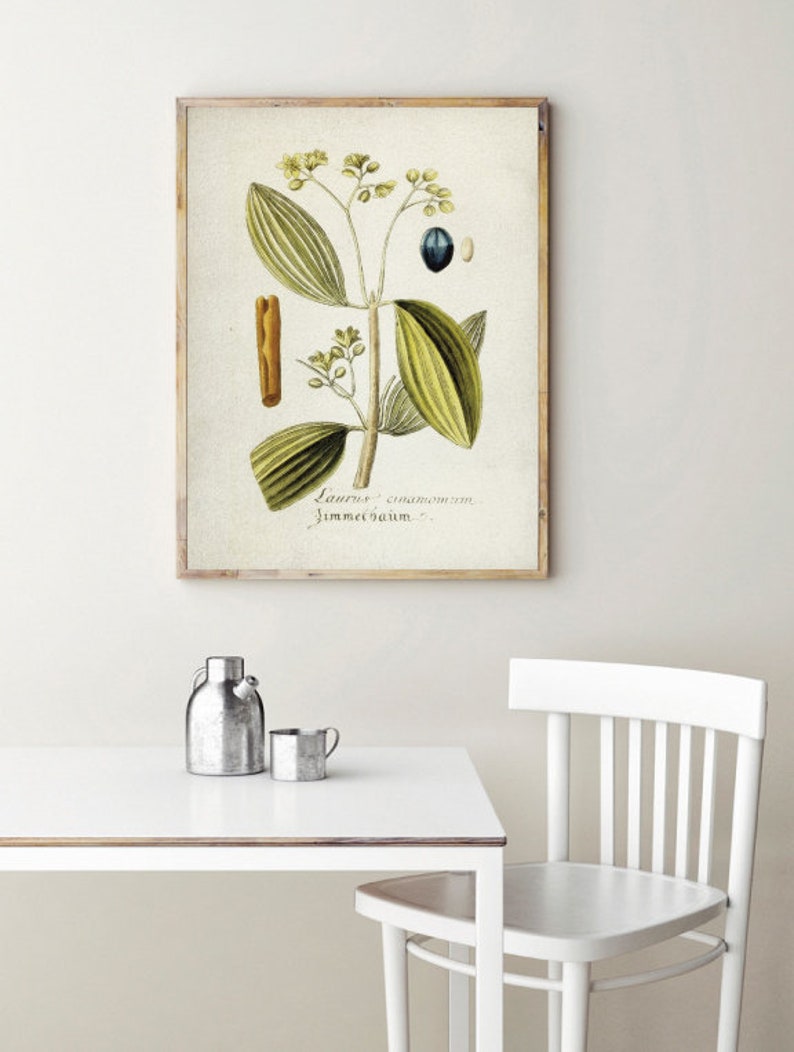 Cinnamon Botanical Print, Vintage Botanical Blue Art, Watercolor ...