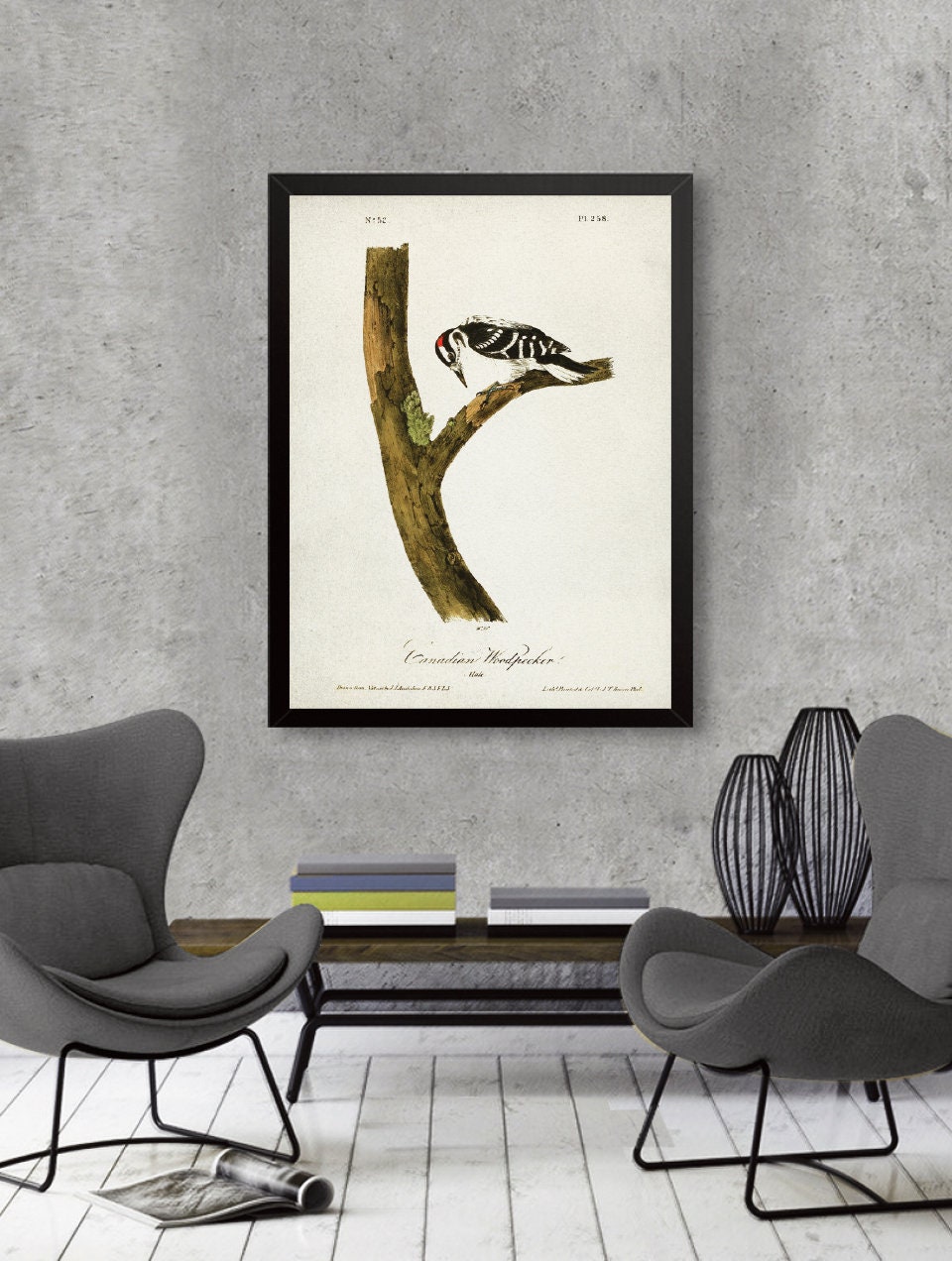 Vintage BIRDS 5 Poster Set, Bird Illustration Prints, Vintage Painting ...