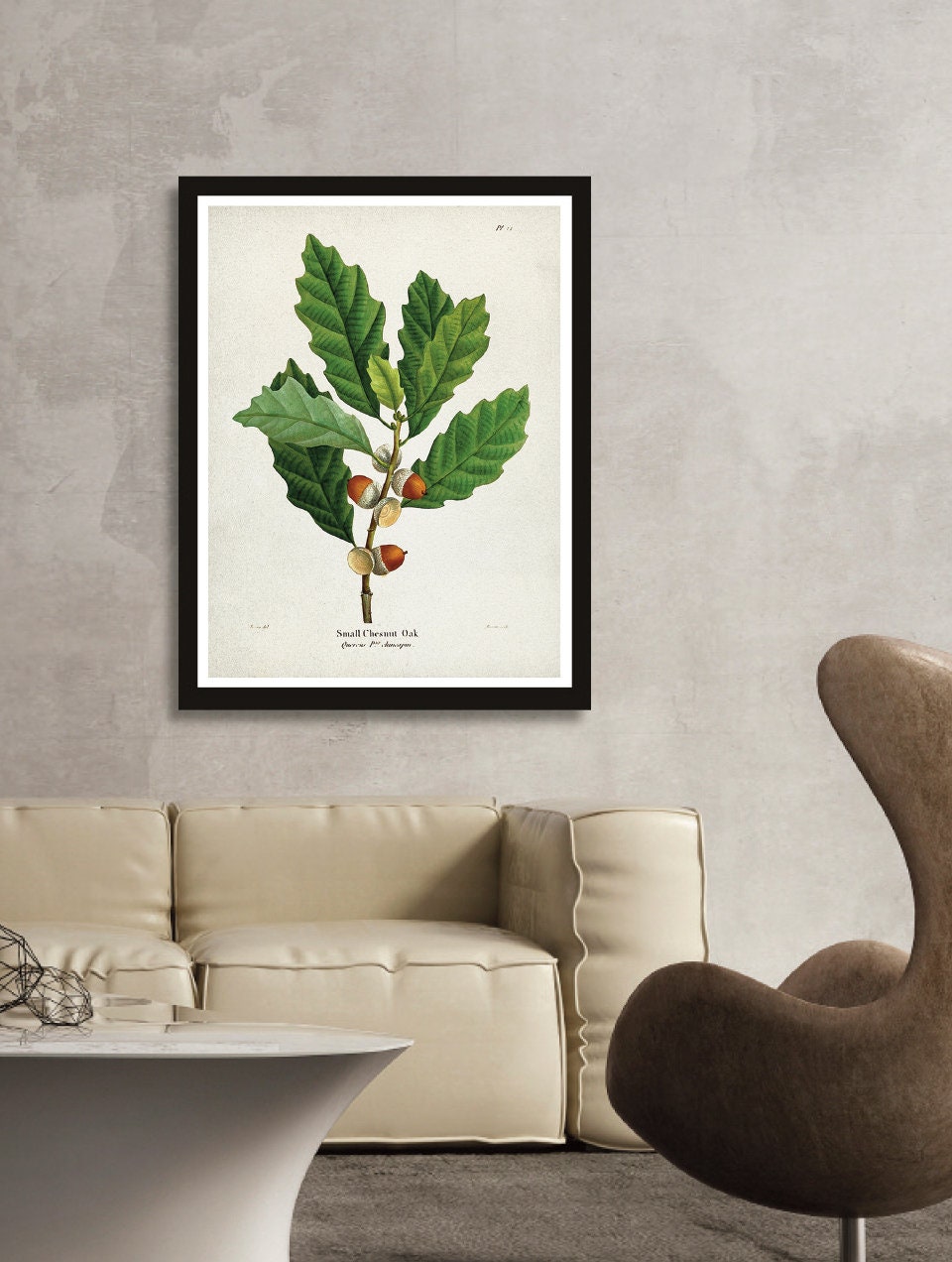 TREES 6 Poster Set Vintage Tree Art Posters Vintage Hardwood | Etsy