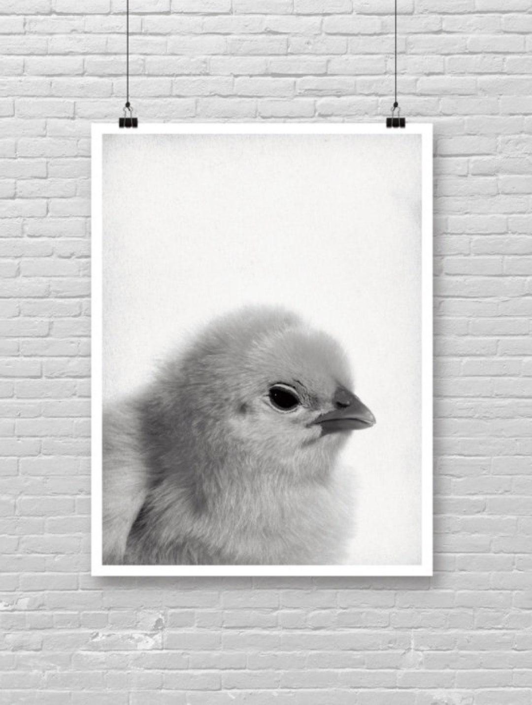 Baby CHICK Nursery Poster, Baby Chick Photo Print, Farm Animal Nursery ...