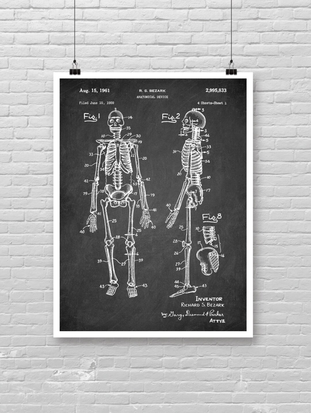 SKELETON Patent Poster, ANATOMY Patent Print, Anatomy Art Print ...