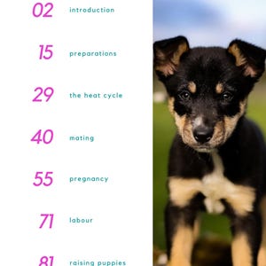 ABC of Breeding Dogs: A Beginner's Guide to Raising Puppies ...