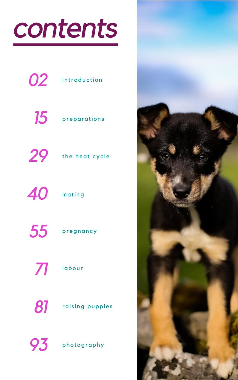 ABC of Breeding Dogs: A Beginner's Guide to Raising Puppies Comprehensive Ebook for New Dog ...