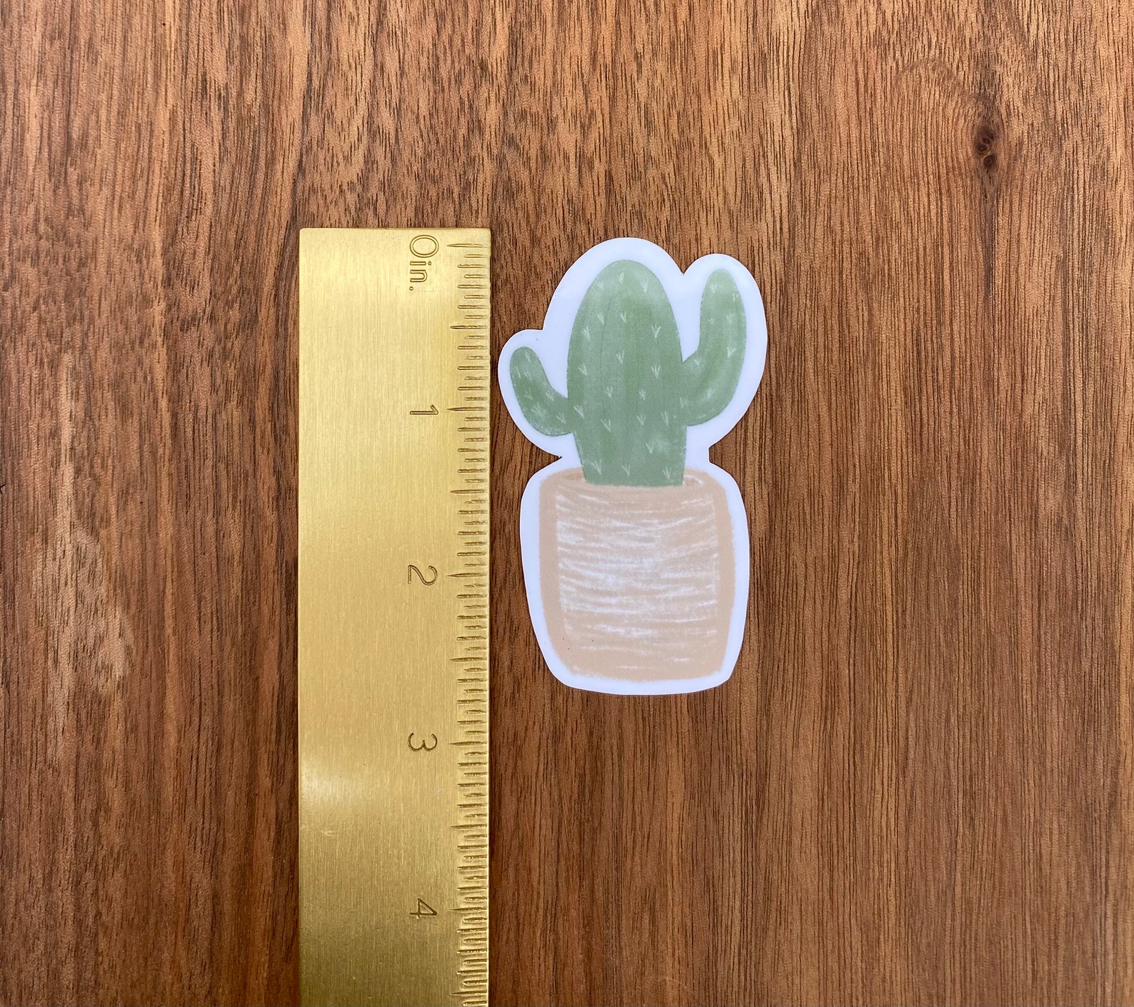 Minimal Cactus Sticker Weatherproof Die-cut Stickers 2x3 - Etsy