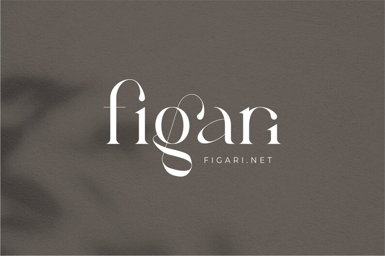 Fragier - Procreate Font, Cricut Font, Wedding Invitation Font, Logo ...