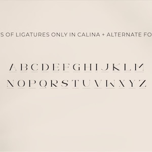 Calina - Cricut Font, Procreate Font, Logo Font, Modern Font, Boho Font ...