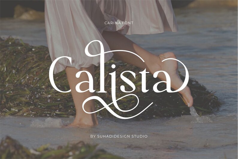 Carina - Elegant Font, Canva Font, Procreate Font, Cricut Font ...