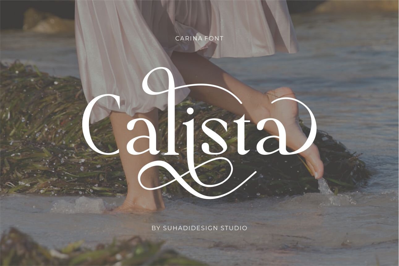 Carina - Elegant Font, Canva Font, Procreate Font, Cricut Font ...