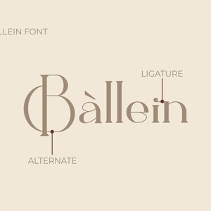 Ballein - Retro Serif Font, Elegant Font, Canva Font, Modern Font ...