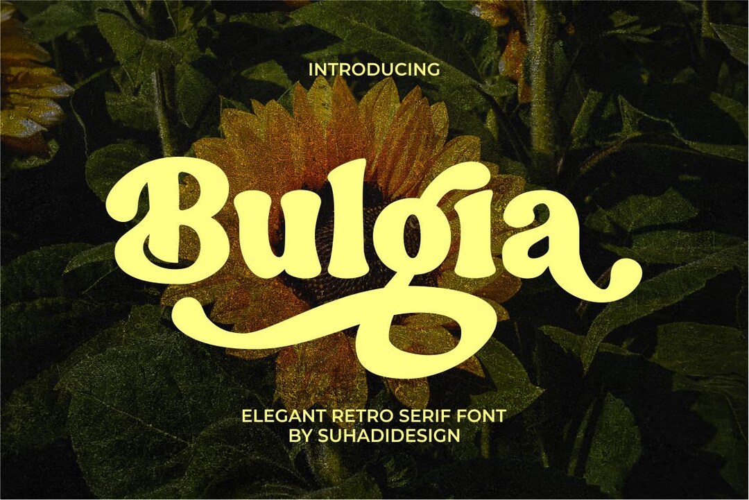 Bulgia Font - Serif Font, Modern Font, Boho Font, Branding Font, Swash ...