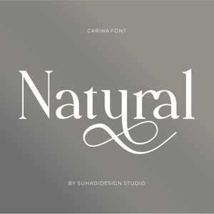 Carina - Elegant Font, Canva Font, Procreate Font, Cricut Font ...