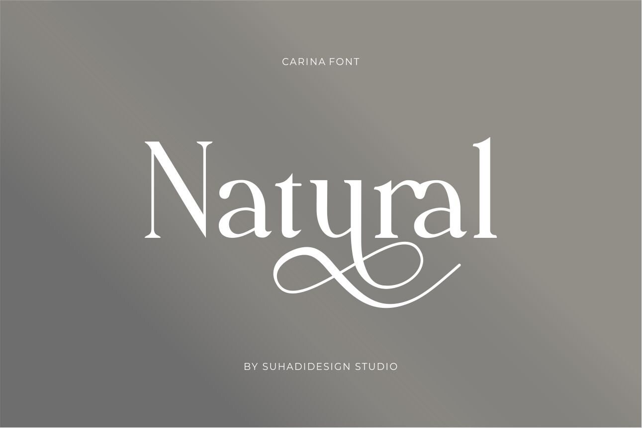 Carina - Elegant Font, Canva Font, Procreate Font, Cricut Font ...