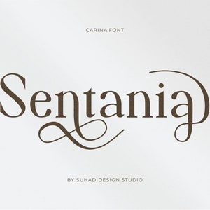 Carina - Elegant Font, Canva Font, Procreate Font, Cricut Font ...