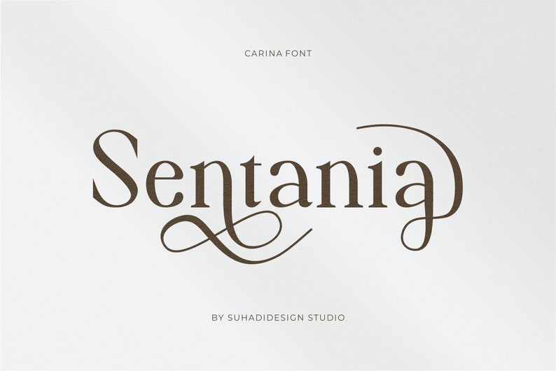 Carina - Elegant Font, Canva Font, Procreate Font, Cricut Font ...