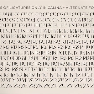 Calina - Cricut Font, Procreate Font, Logo Font, Modern Font, Boho Font ...