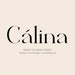 Calina - Cricut Font, Procreate Font, Logo Font, Modern Font, Boho Font ...