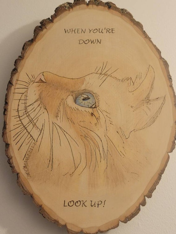 Cat Woodburning Wall Sign - Etsy